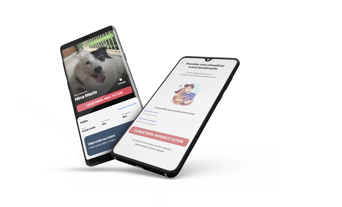 Pitpet - Facilitando reencontros entre pets e tutores